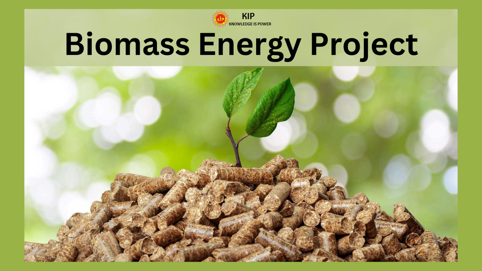 Biomass Energy Project - KIP Financial Consultancy Limited