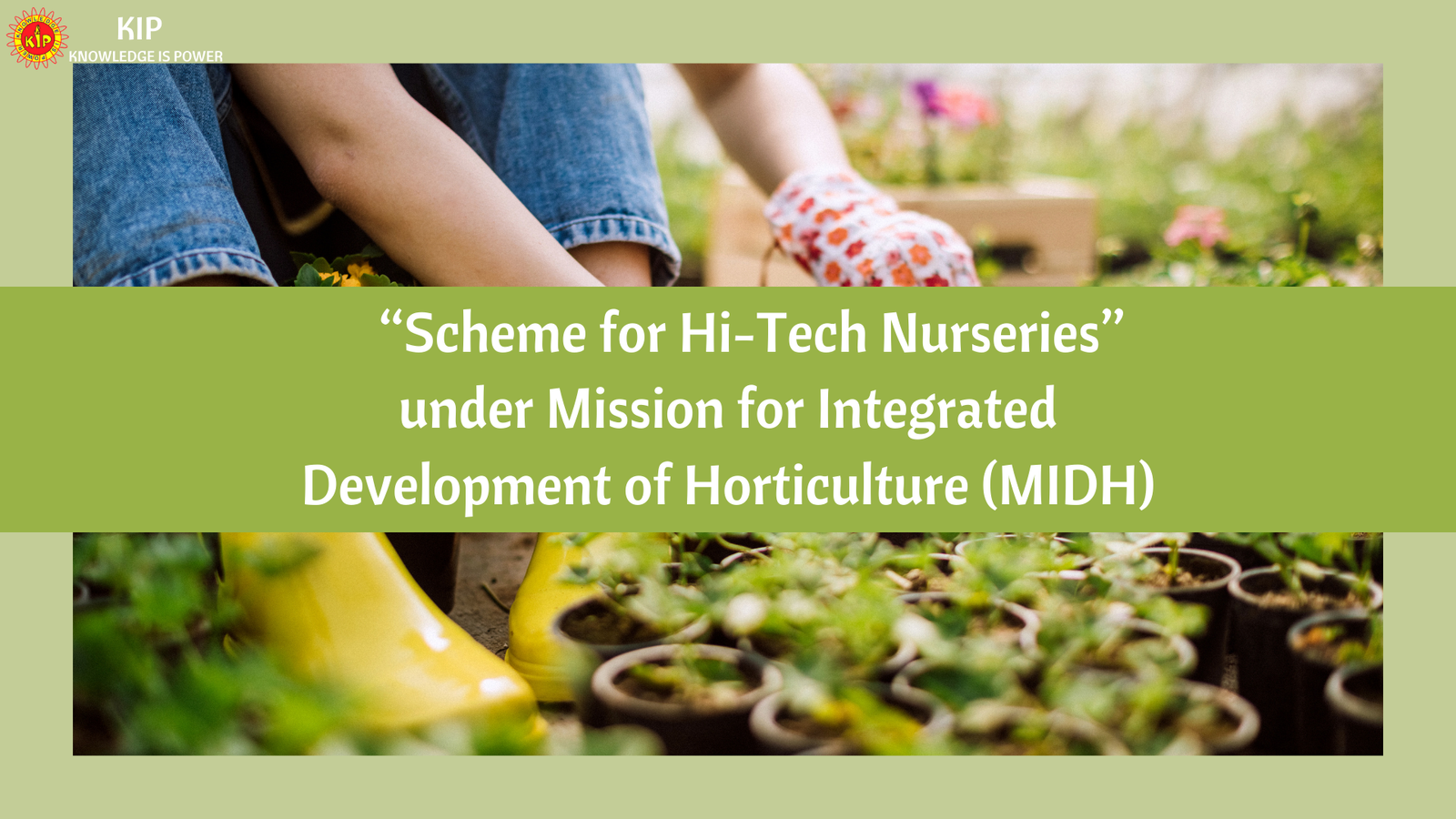Scheme for Hi-Tech Nurseries - KIP Financial Consultancy Pvt Ltd