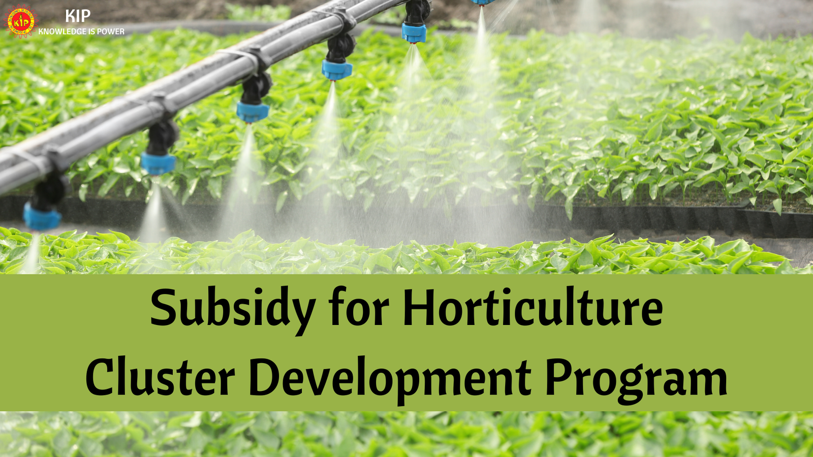 Subsidy for Horticulture Cluster Development Program - KIP Financial ...